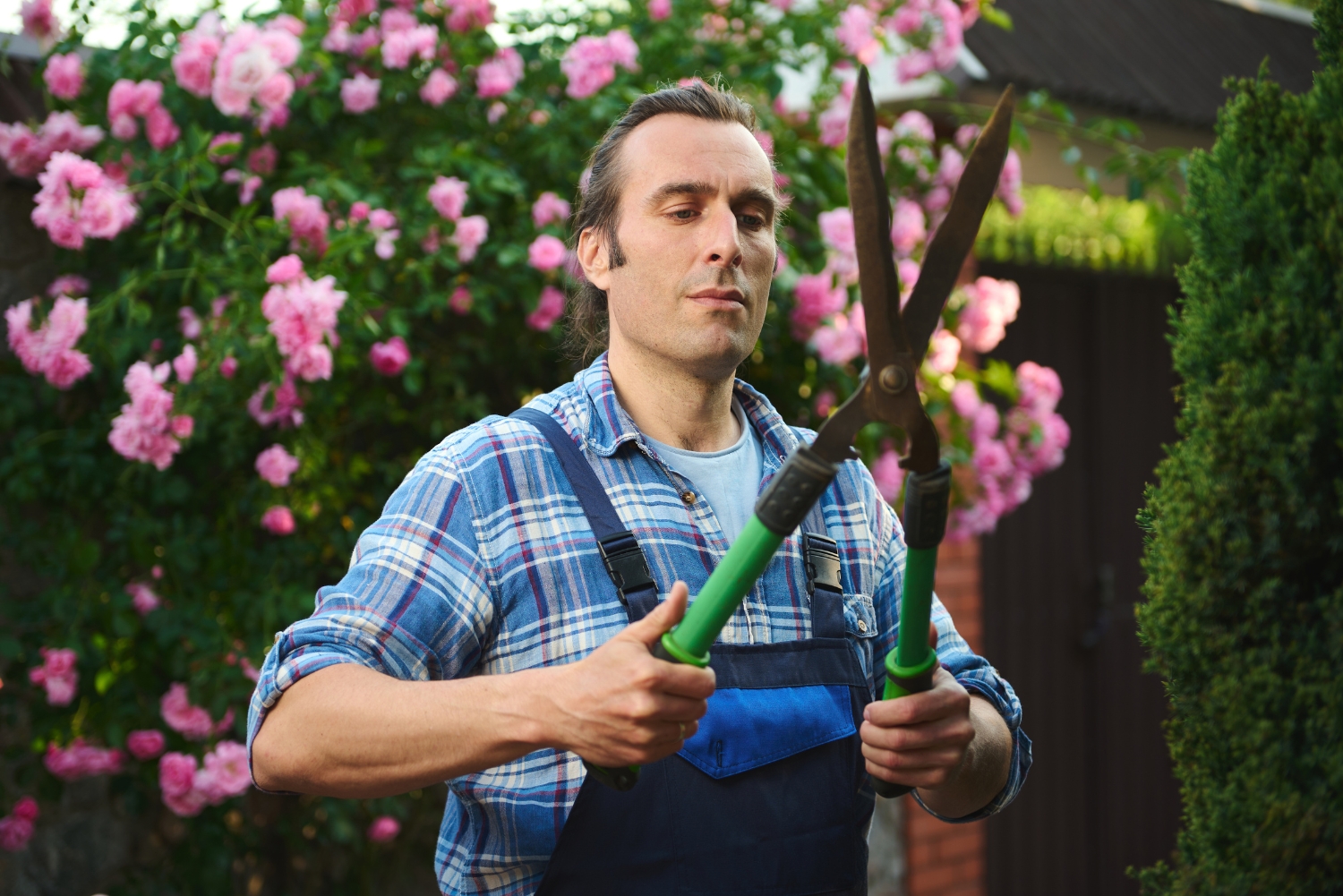 Professional Landscaping and Garden Maintenance Services | Transform ...