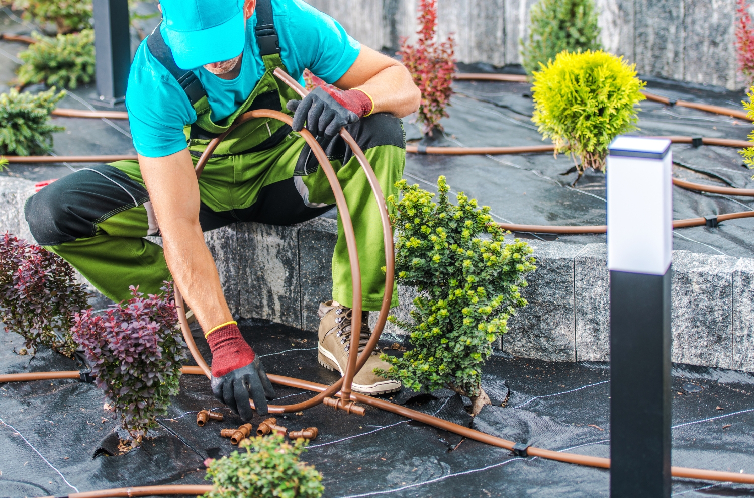 Professional Landscaping and Garden Maintenance Services | Transform ...